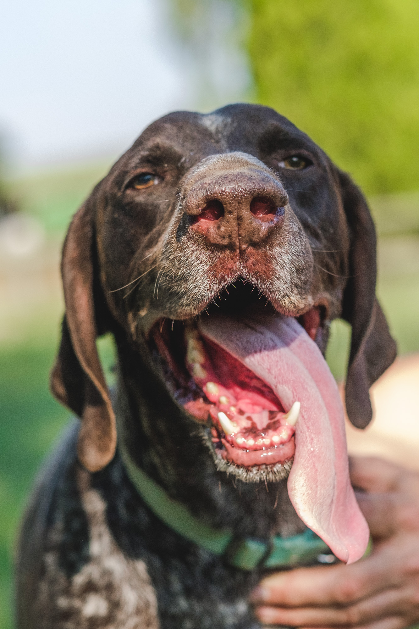 Gallery – GSP Rescue SA NPC 2016/168792/08