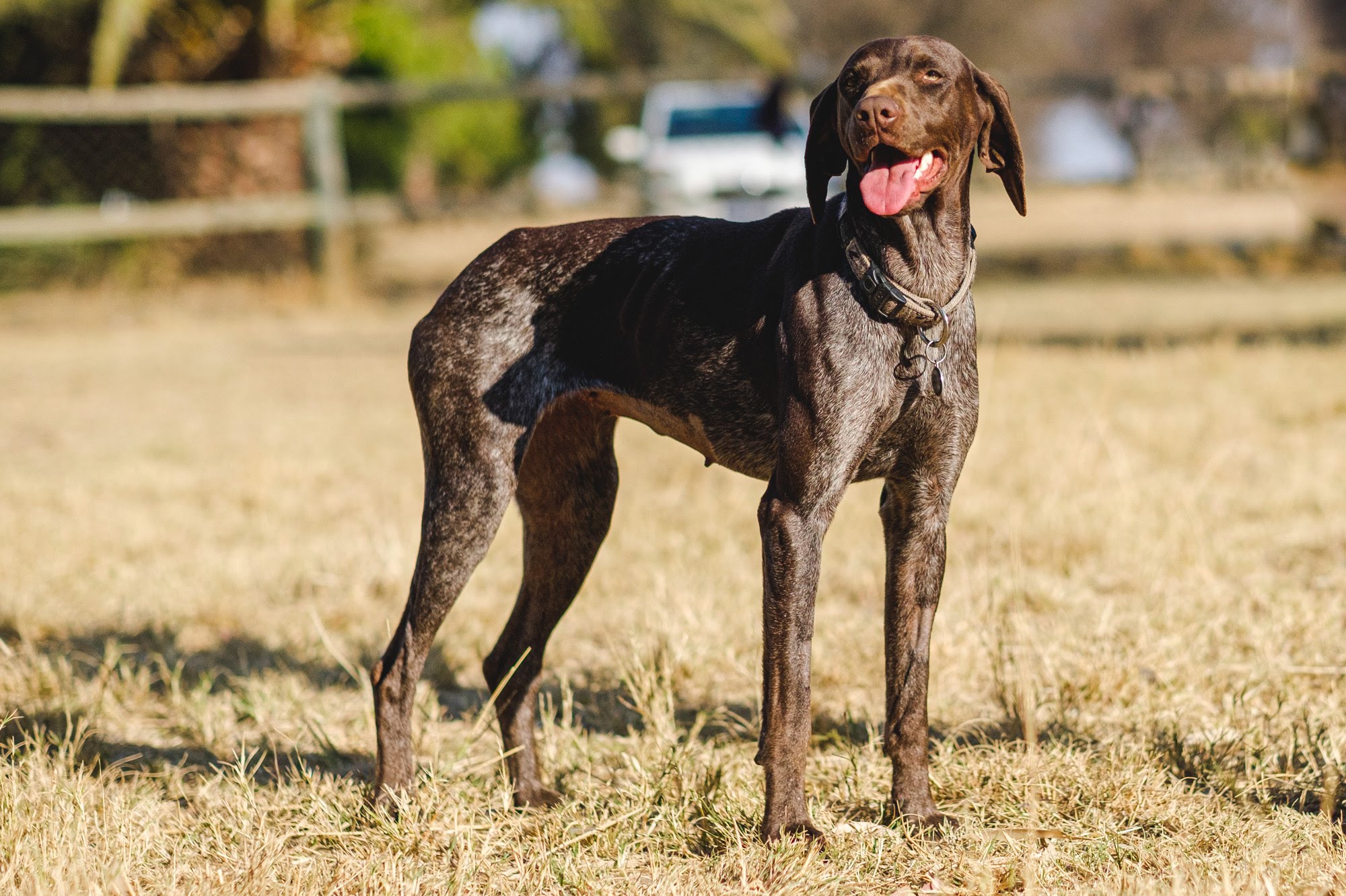 Gallery – GSP Rescue SA NPC 2016/168792/08