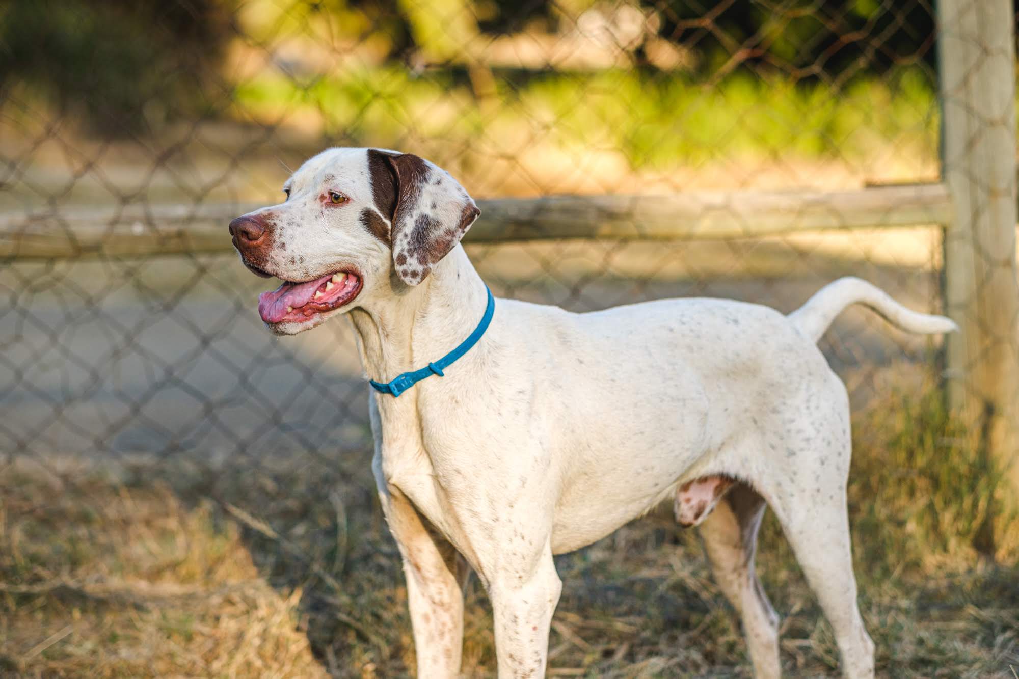 Gallery – GSP Rescue SA NPC 2016/168792/08